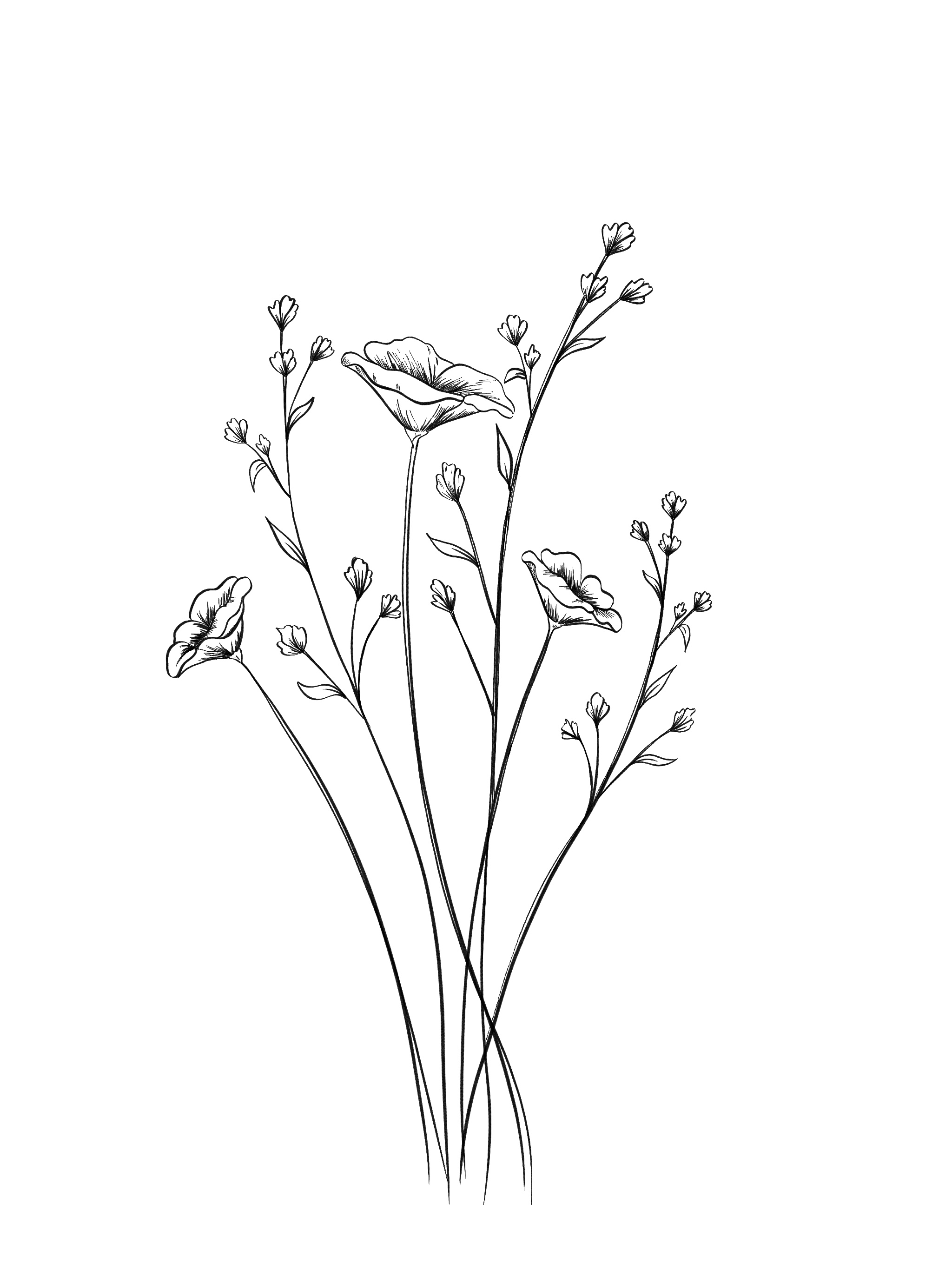 Get Started with Line-Art Drawing – Heidi Cogdill